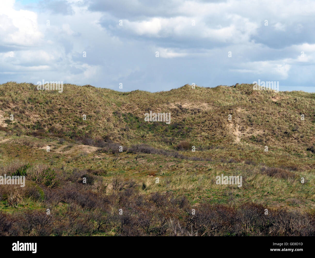 Nationaal Park Zuid-Kennemerland is a protected nature reserve in the ...