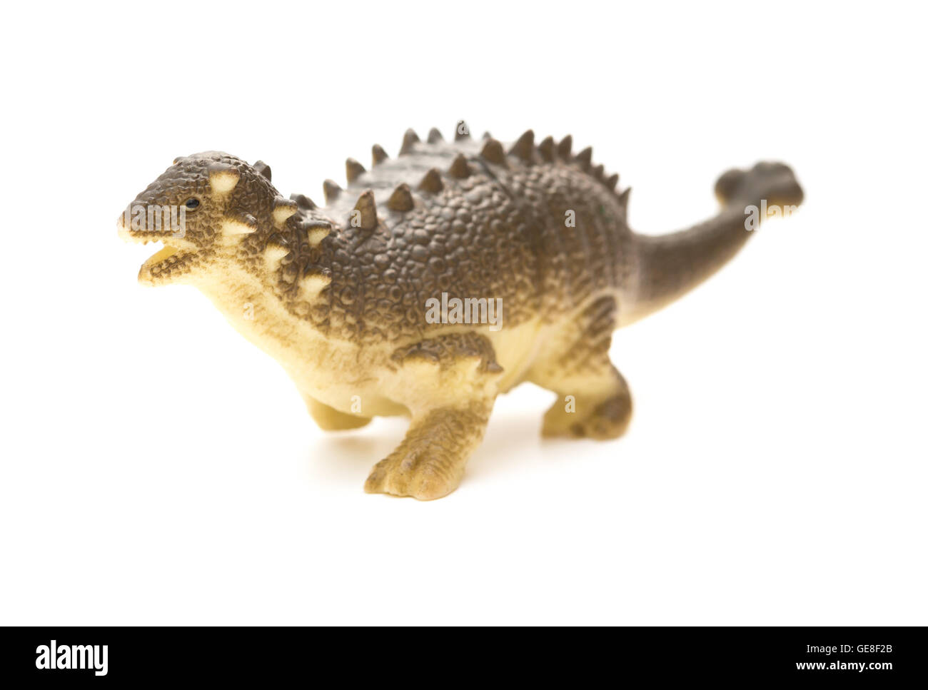 Pinacosaurus toy on a white background Stock Photo - Alamy