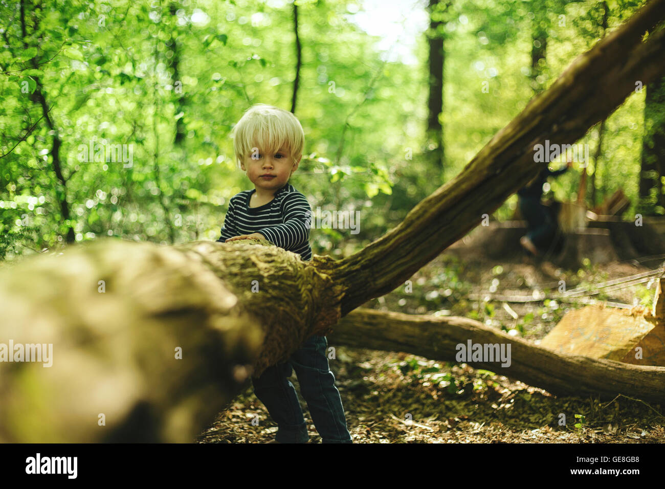 Little boy in forest Stock Photo - Alamy