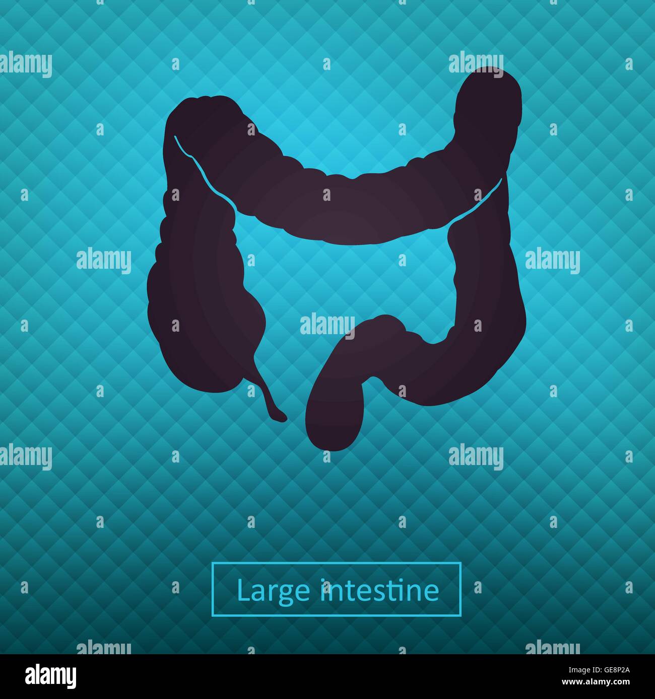 Large intestine icons Stock Vector Image & Art - Alamy