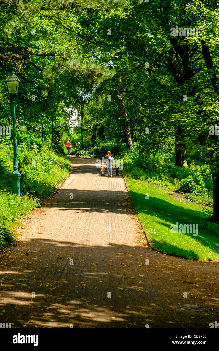 Avenham and Miller Parks Stock Photo - Alamy