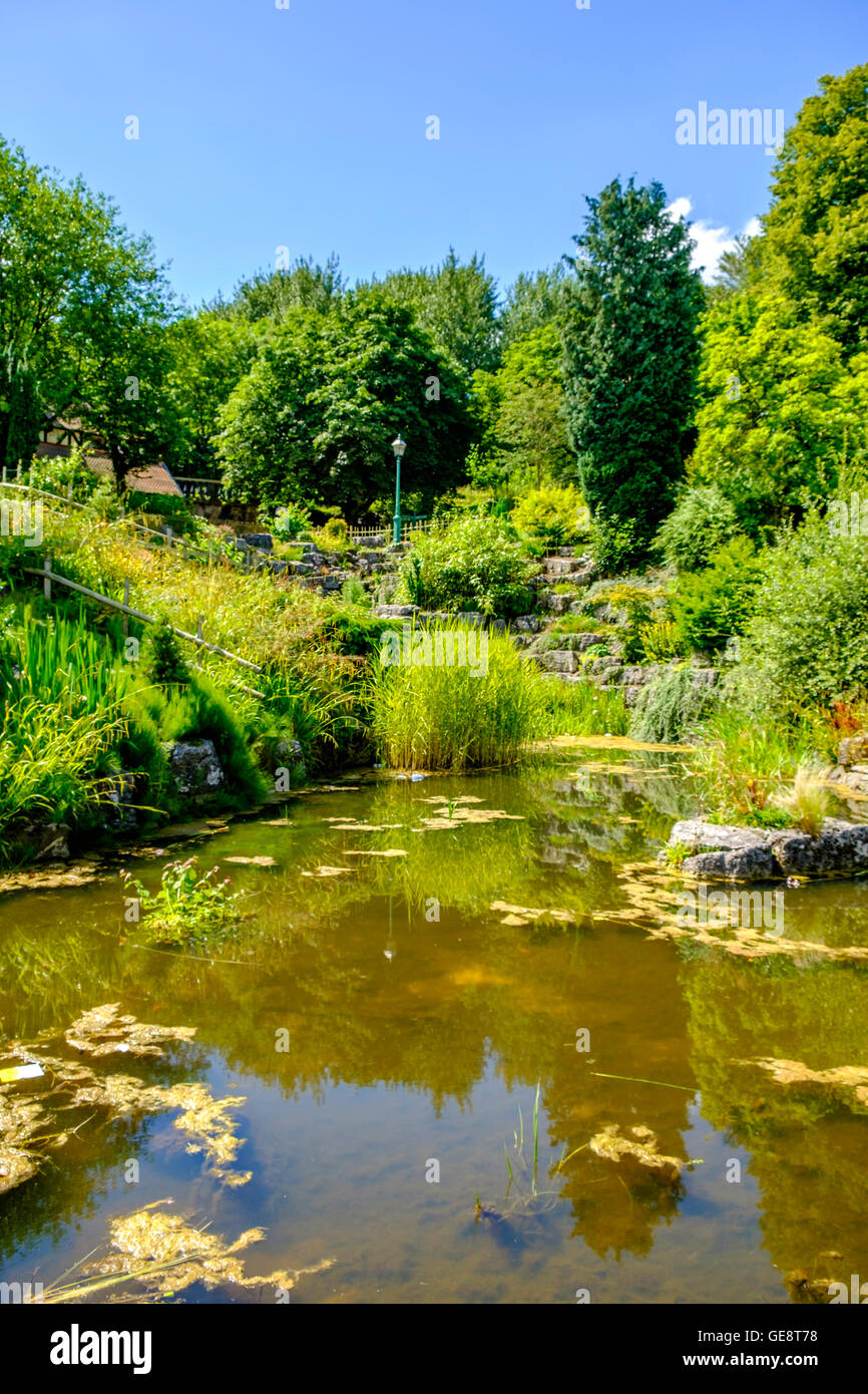 Avenham park hi-res stock photography and images - Alamy