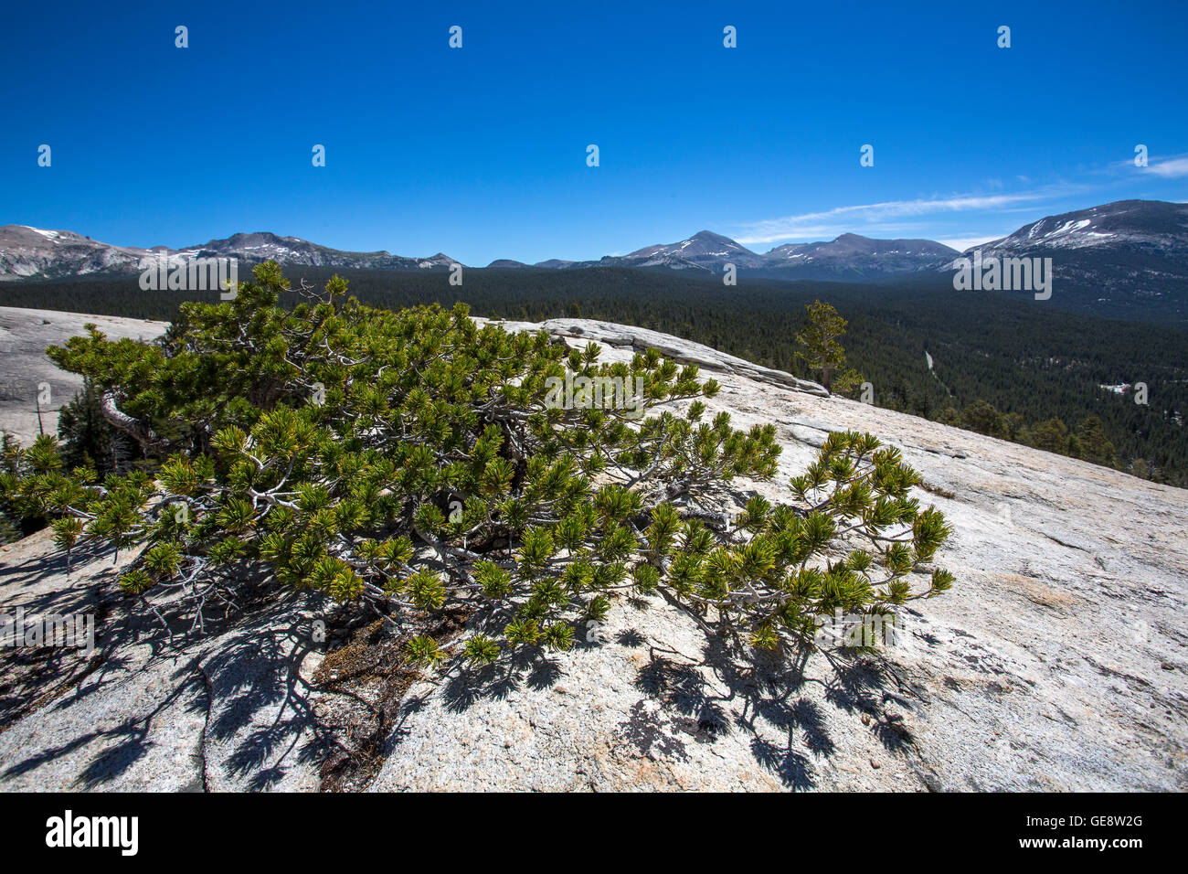 A view across Yosemite Valley from the top of one of the stone ...