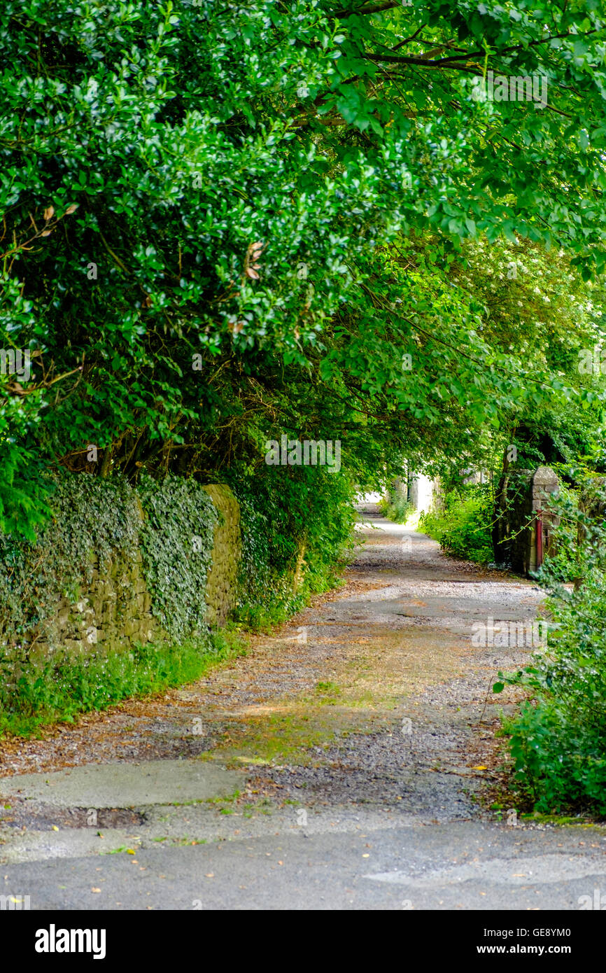 Lane wall hi-res stock photography and images - Alamy