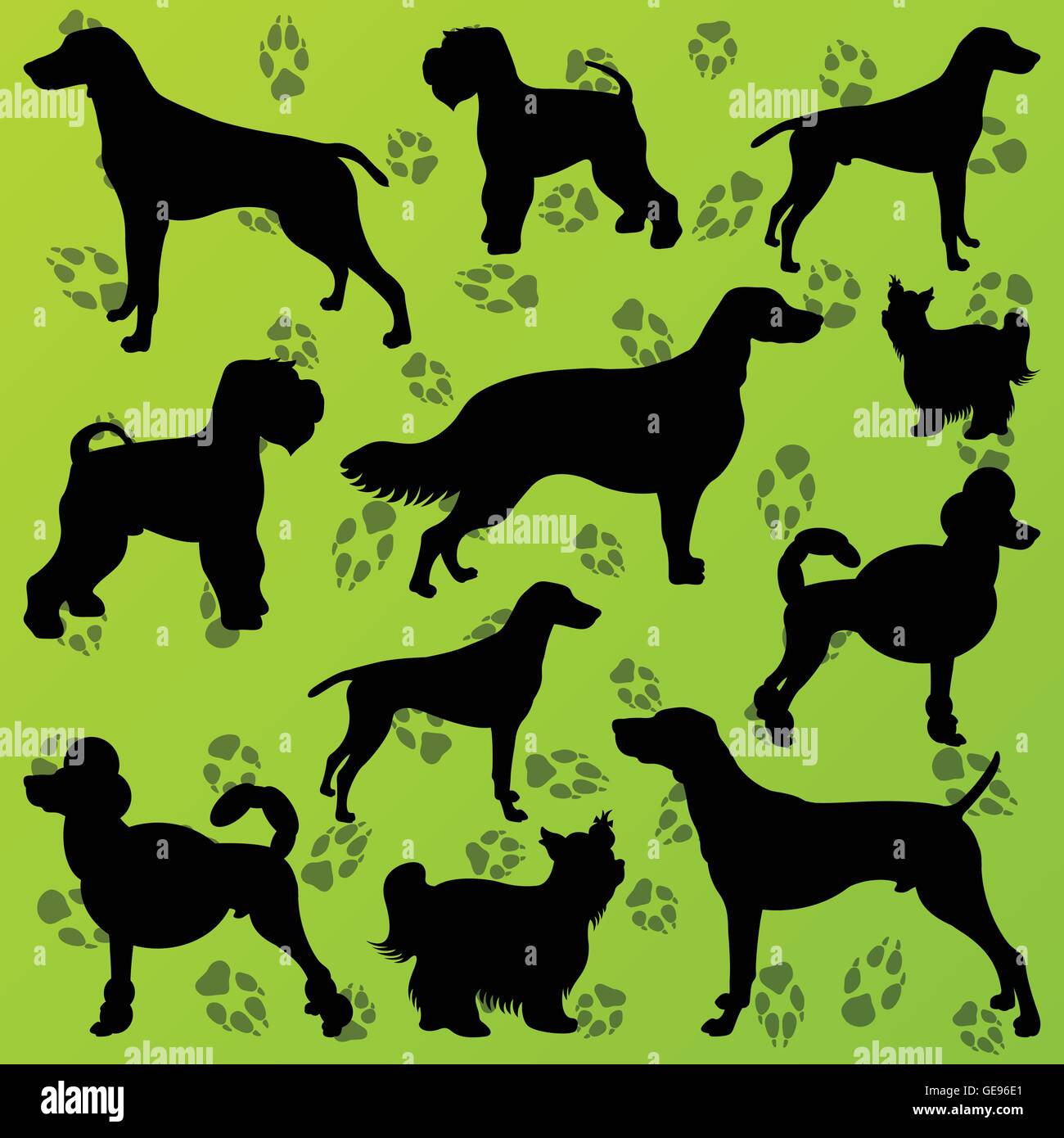 Set of dog breeds silhouettes hi-res stock photography and images - Alamy