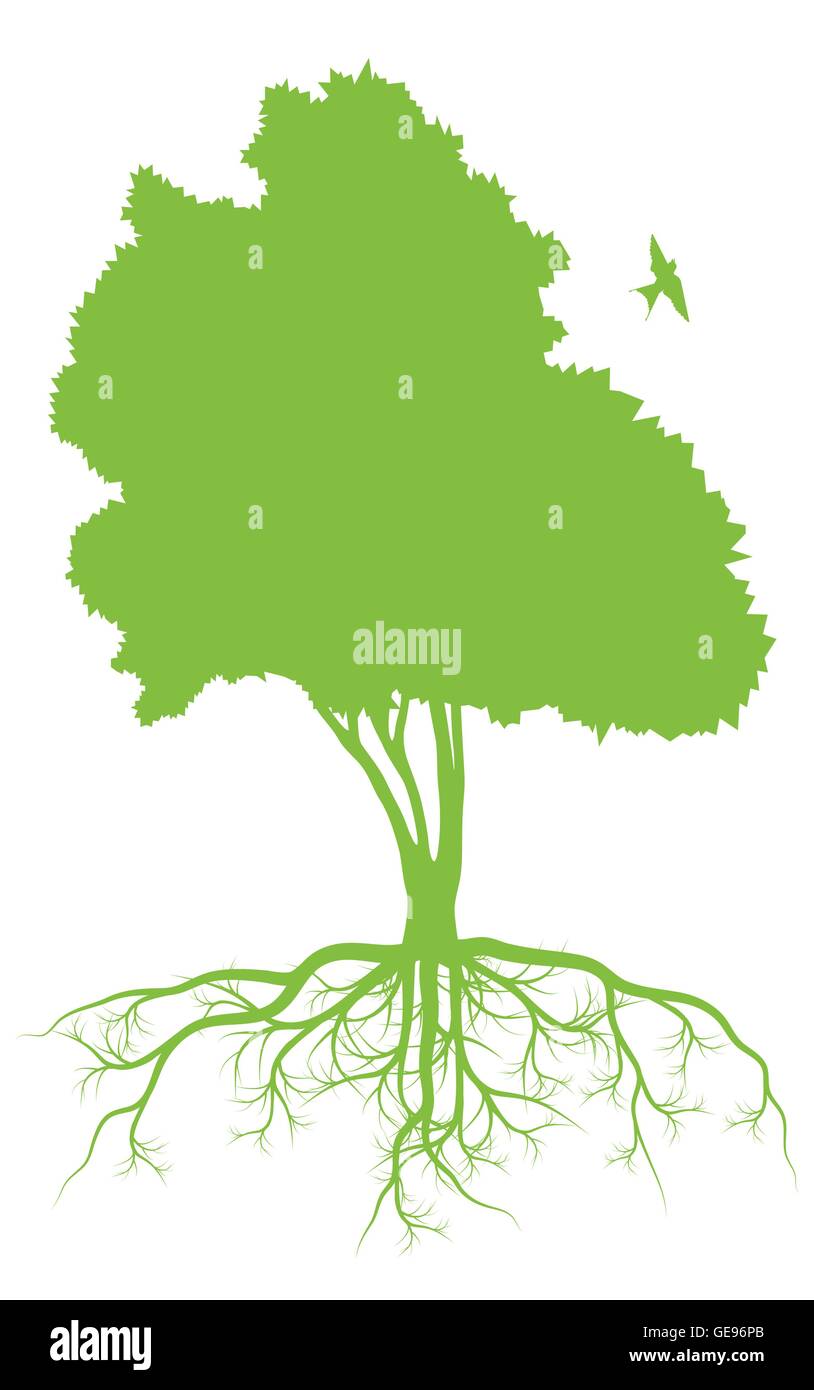 Tree with roots background ecology vector concept Stock Vector Image ...