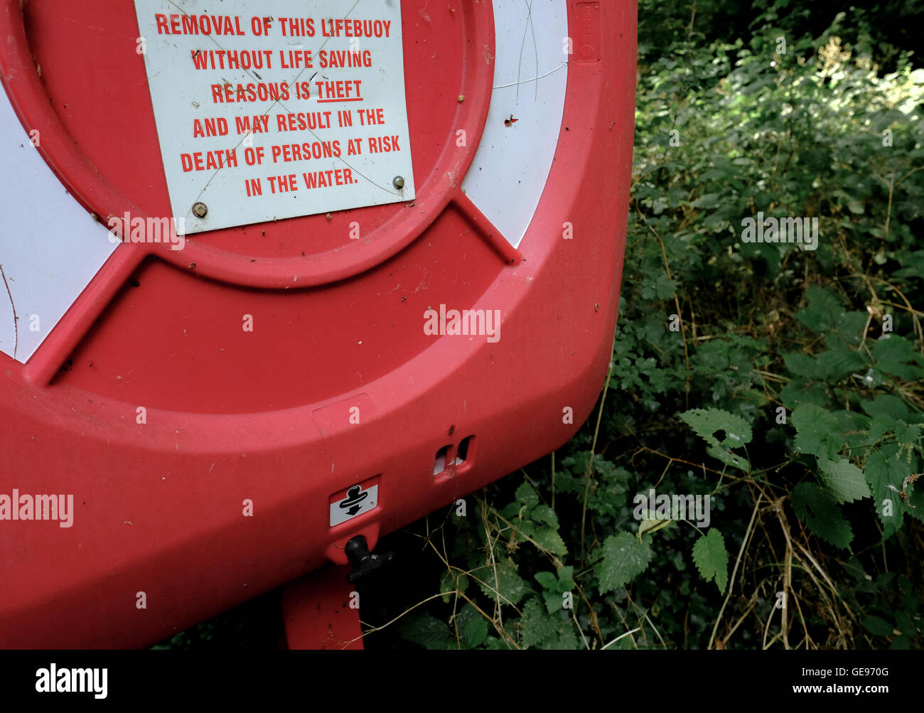Solitary plastic life ring seen installed in a wooded area by the side ...