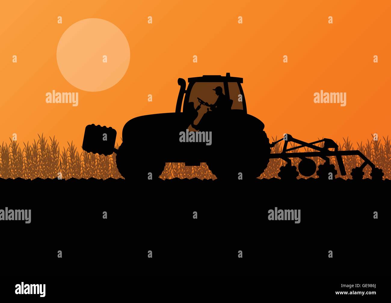 Agriculture tractor cultivating the land in cultivated country grain ...