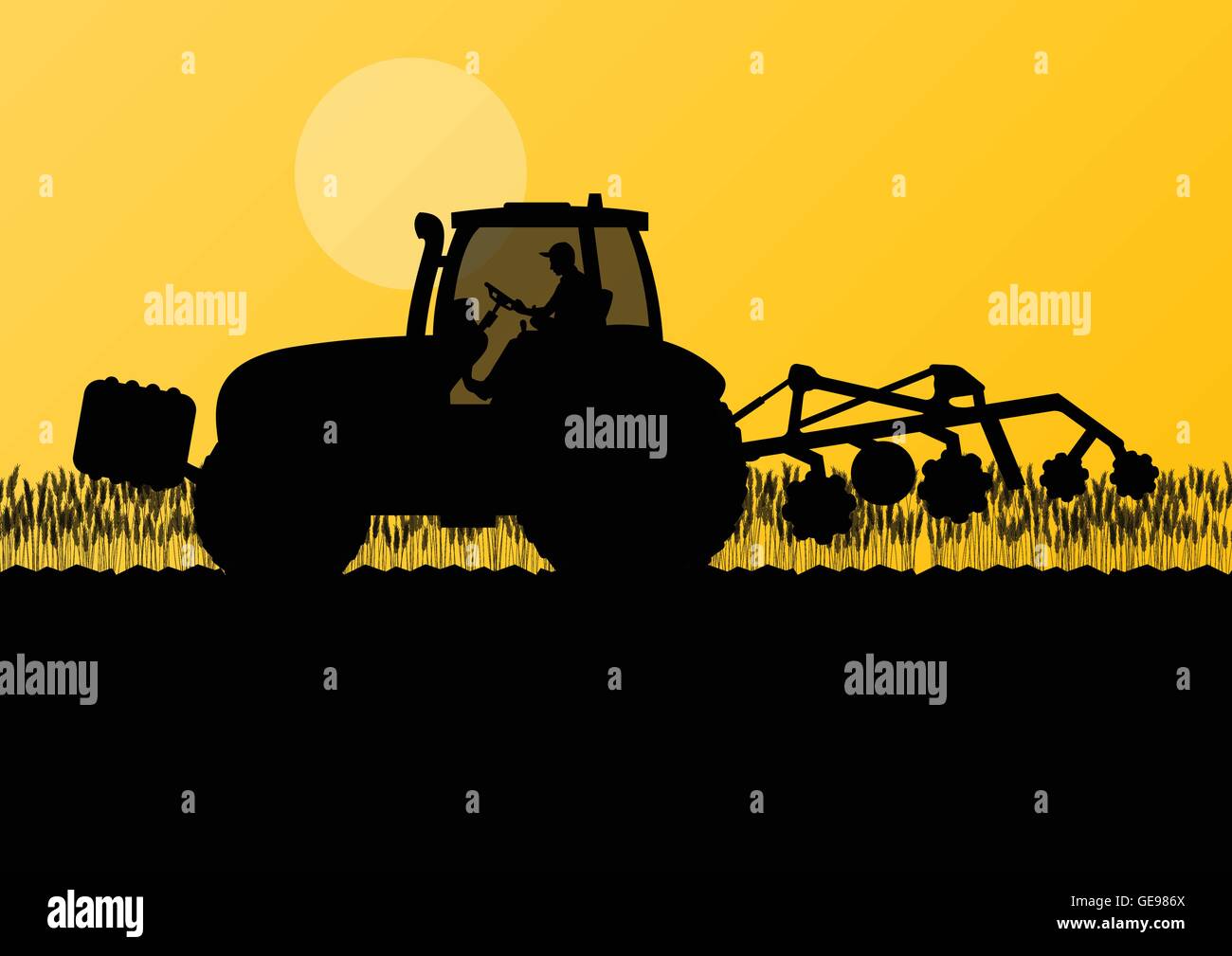 Agriculture tractor cultivating the land in cultivated country grain ...