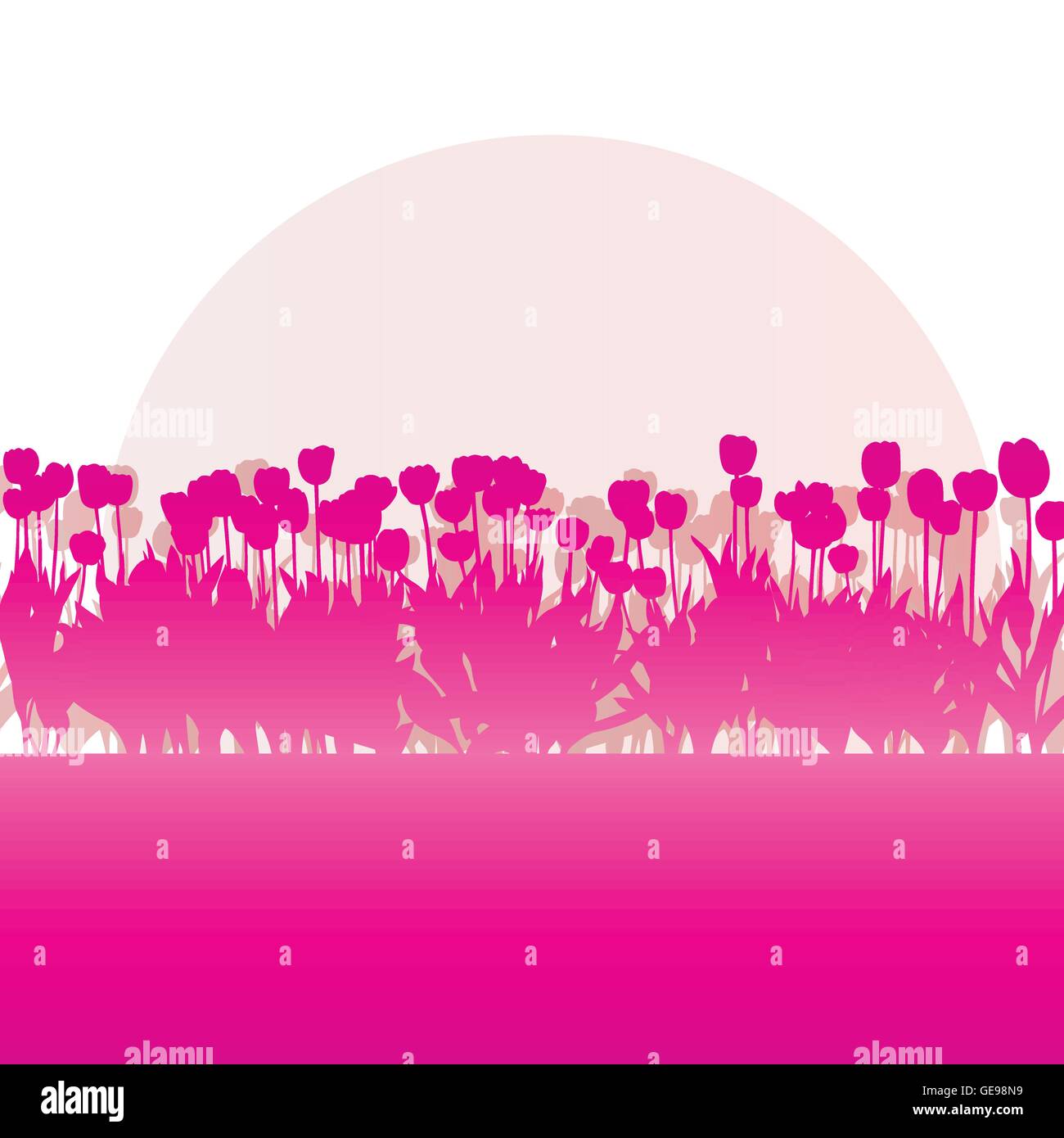 Tulips spring seasonal flower garden ecology concept detailed ...