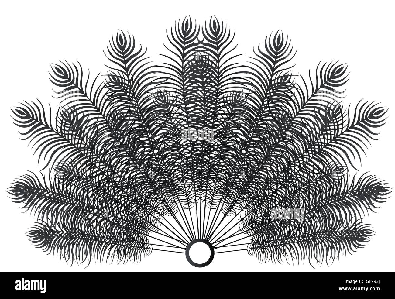 Feathers fan vector on black background for poster Stock Vector Image ...