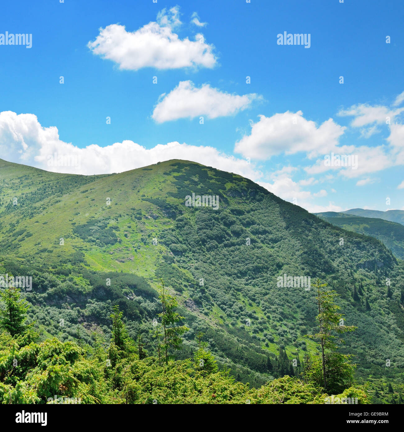 mountains covered trees and blue sky Stock Photo - Alamy