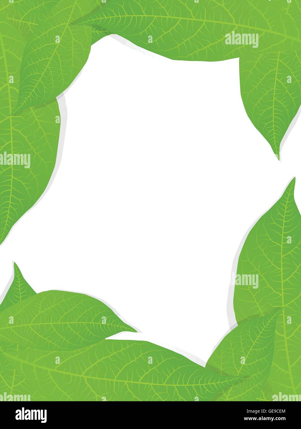 Green leaves background vector for poster Stock Vector Image & Art - Alamy