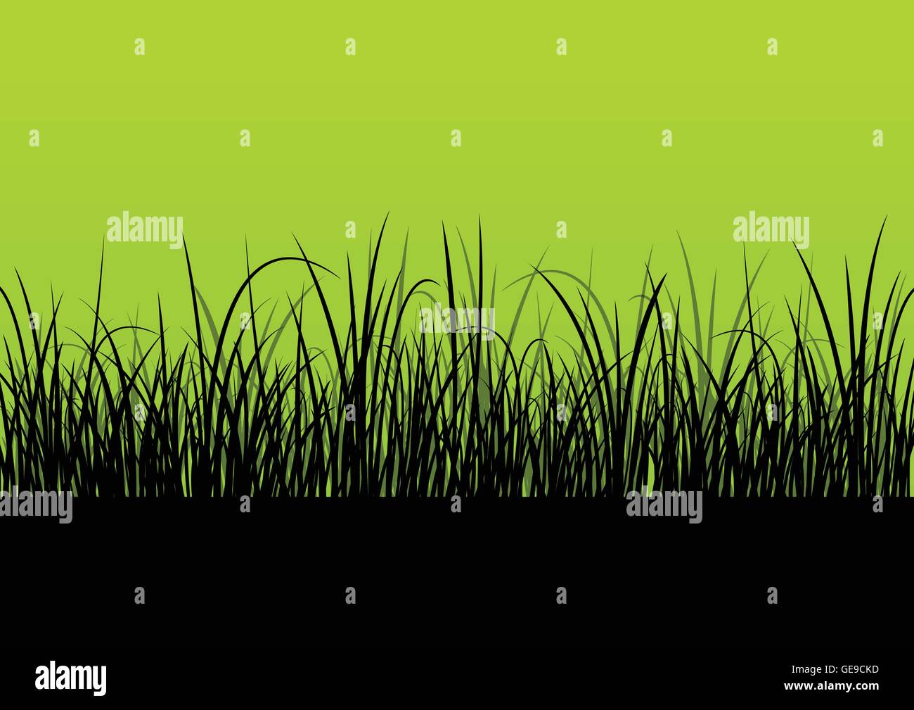 Fresh grass landscape detailed silhouette illustration background ...