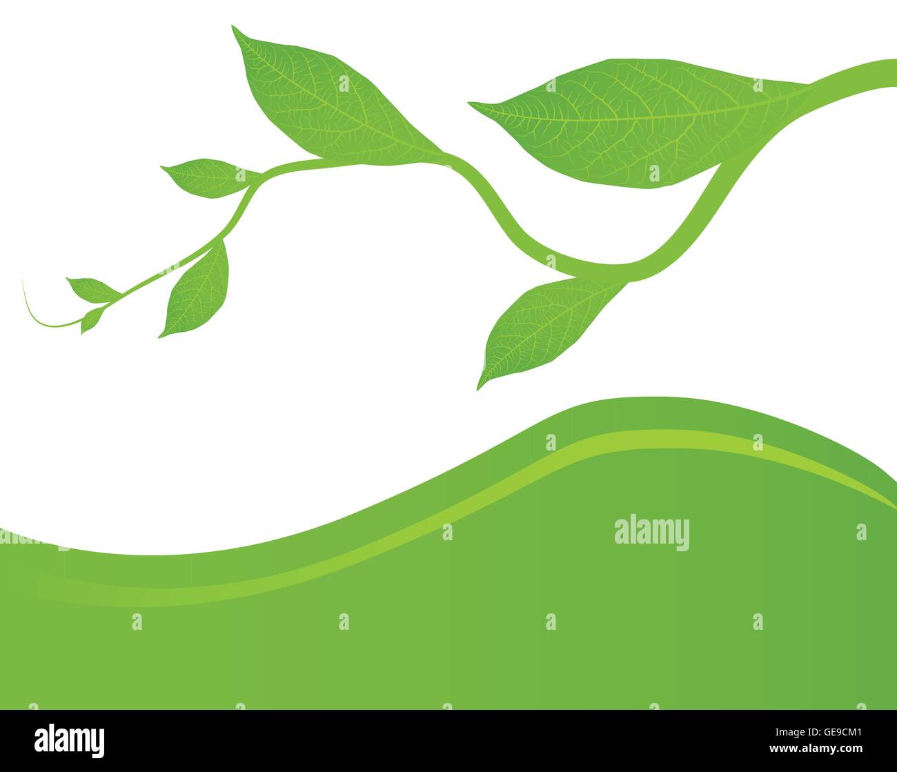 Green leaves background vector for poster Stock Vector Image & Art - Alamy
