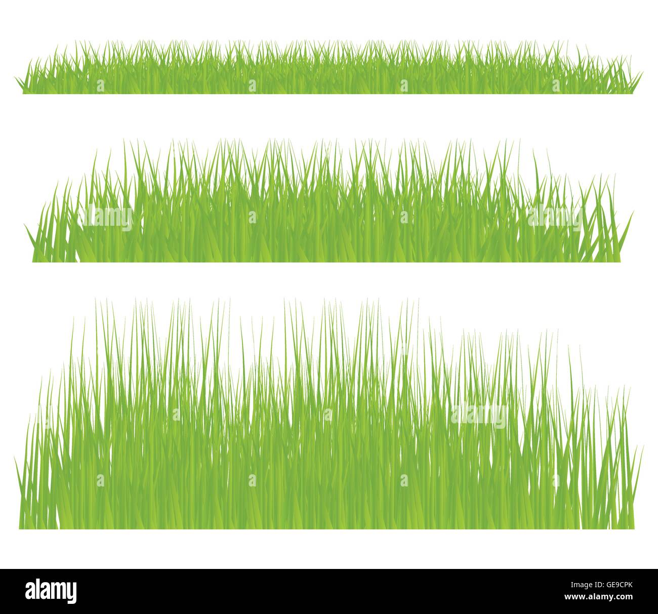 Green grass vector background for poster Stock Vector Image & Art - Alamy