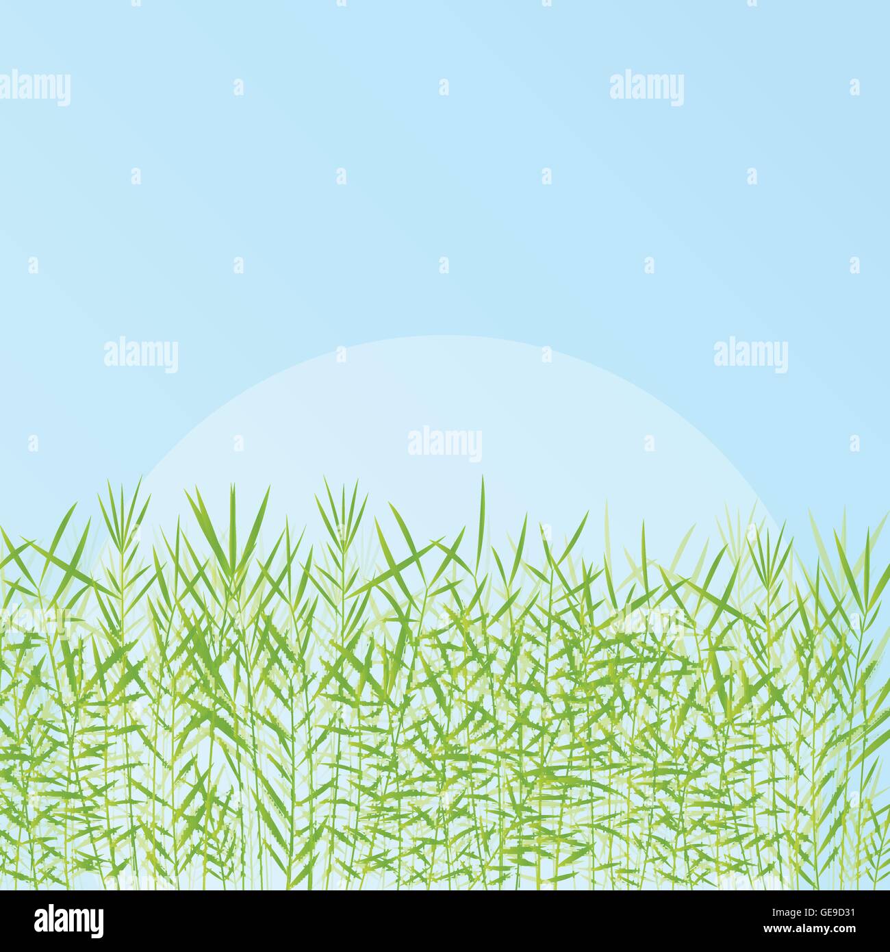 Grass detailed illustration background vector Stock Vector Image & Art ...