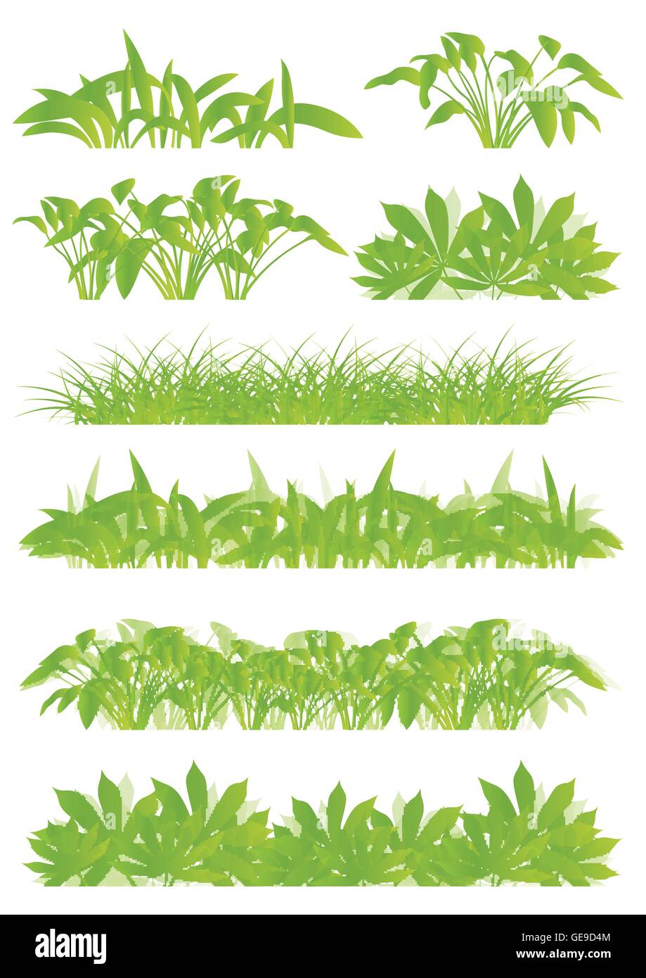 Tropical exotic jungle grass and plants detailed silhouettes landscape ...