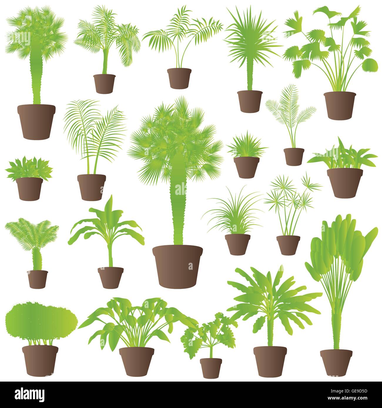 Exotic jungle bushes grass, reed, palm tree wild plants set vector ...