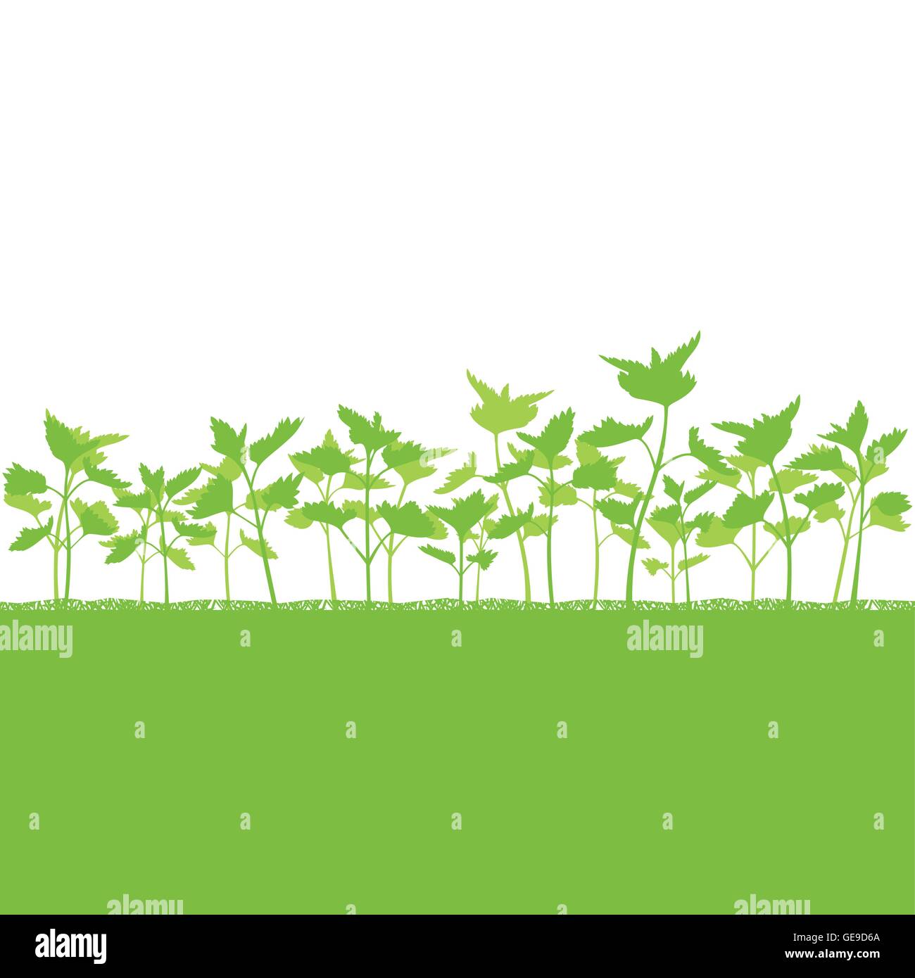 Nettle field Stock Vector Images - Alamy