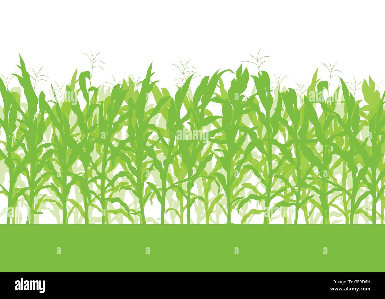 Corn field vector background ecology green concept for poster Stock ...