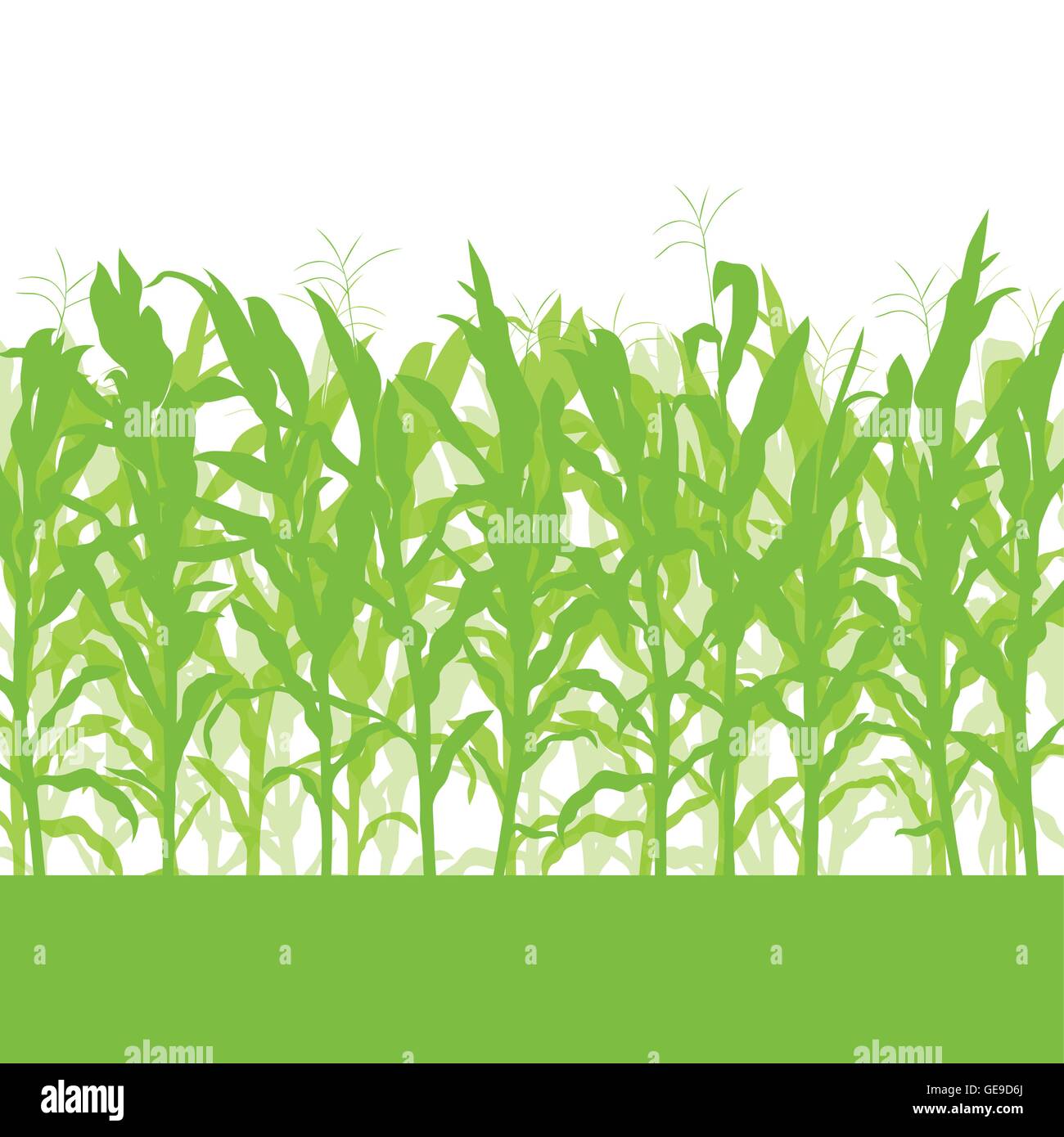 Corn field vector background ecology green concept for poster Stock ...