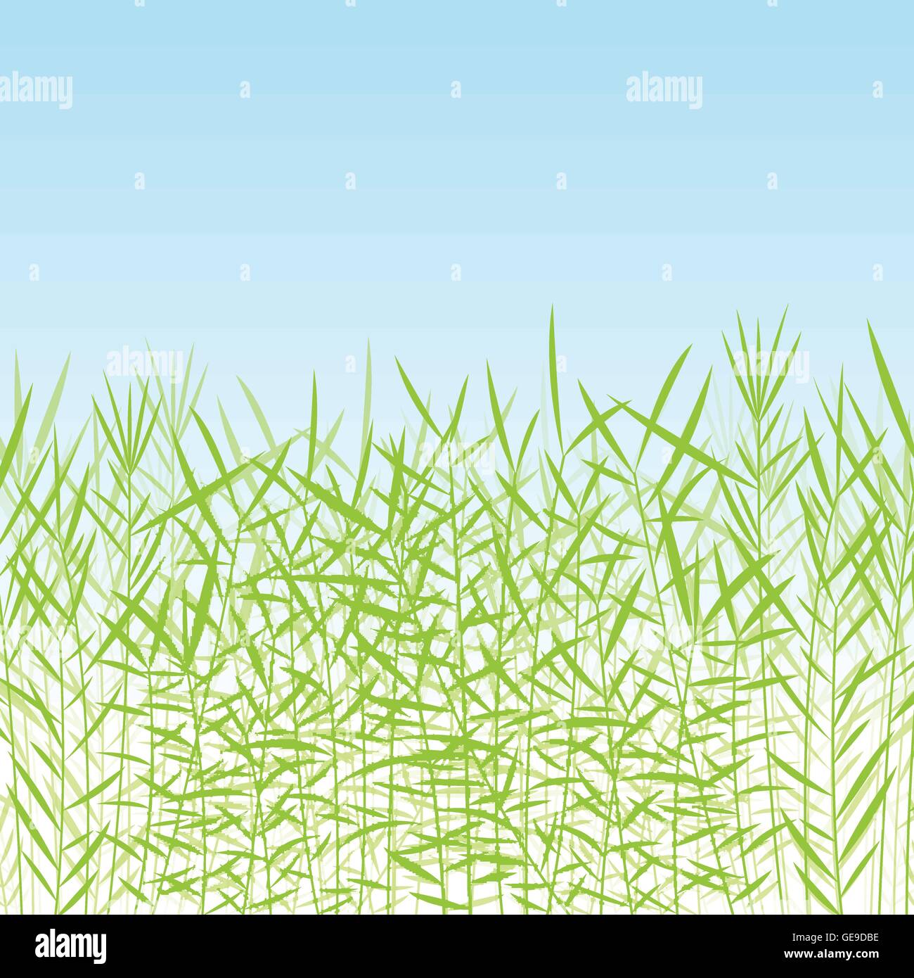 Grass, reed and wild plants detailed silhouettes illustration ...