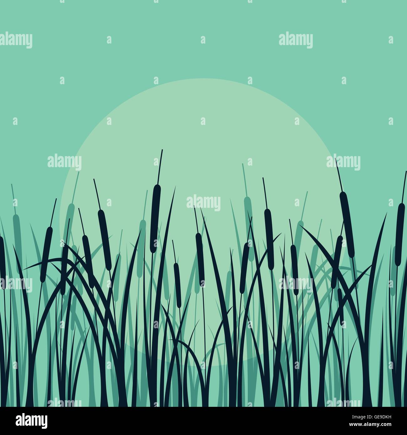 Grass, reed and wild plants detailed silhouettes illustration ...