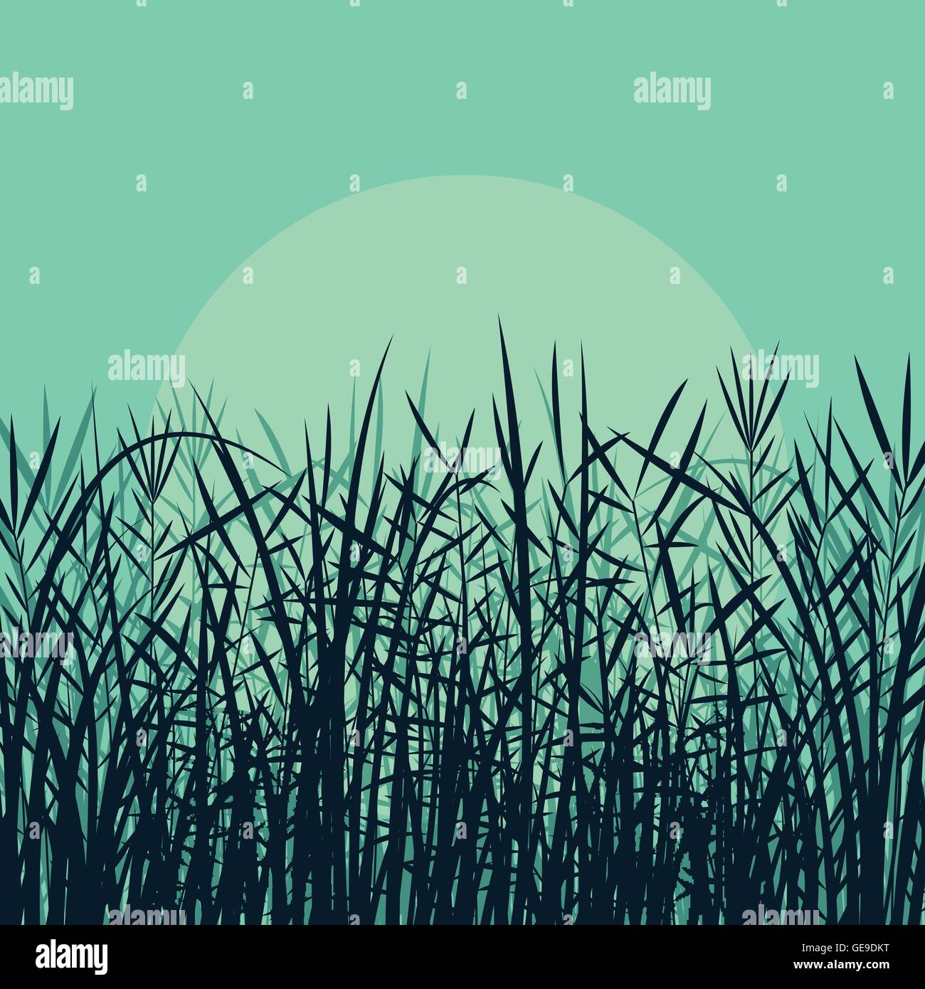 Grass, reed and wild plants detailed silhouettes illustration ...