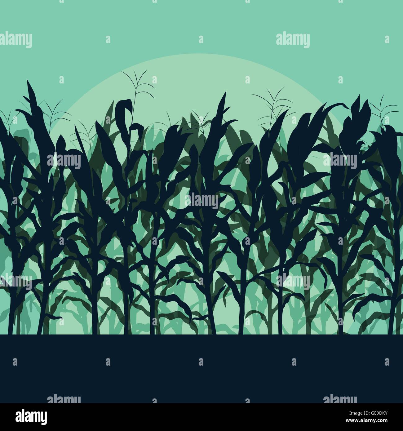 Corn field detailed countryside landscape illustration background ...