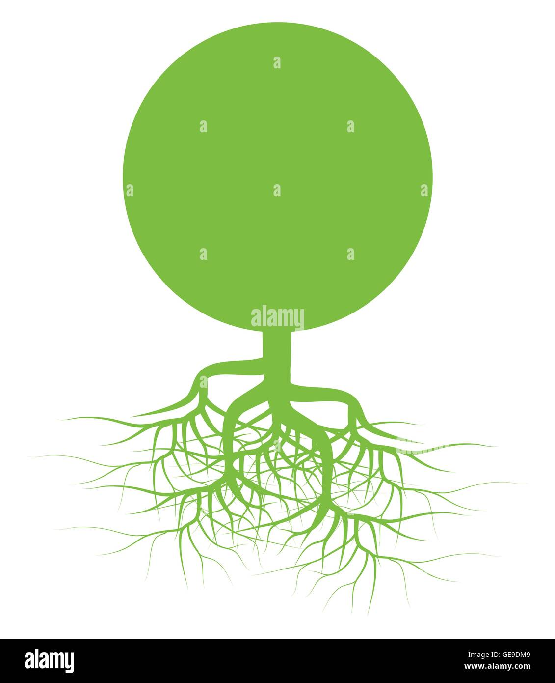 Green tree with roots background vector for poster Stock Vector Image ...