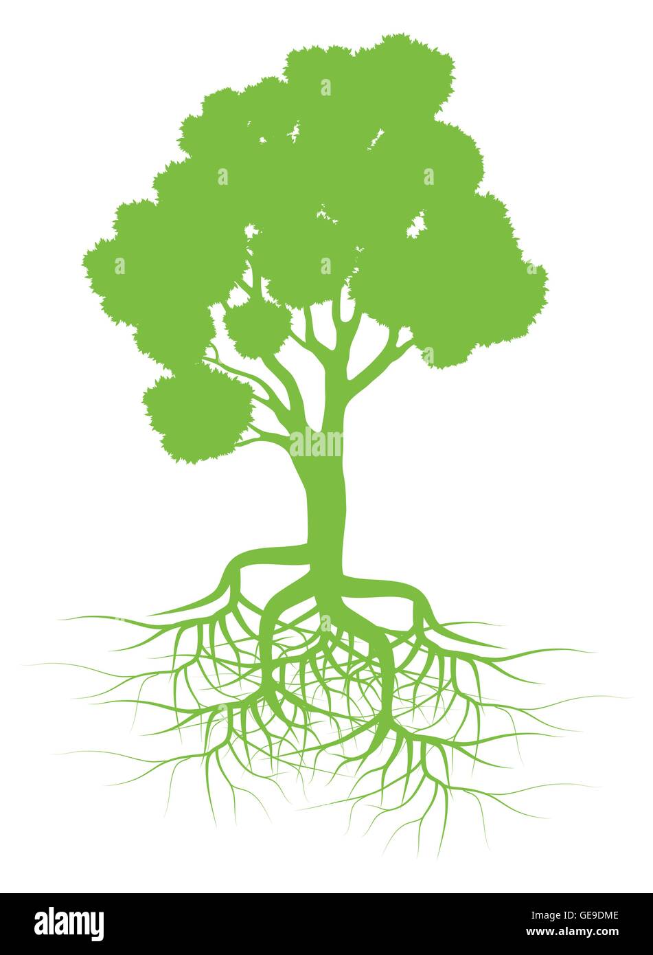 Green tree with roots background vector for poster Stock Vector Image ...
