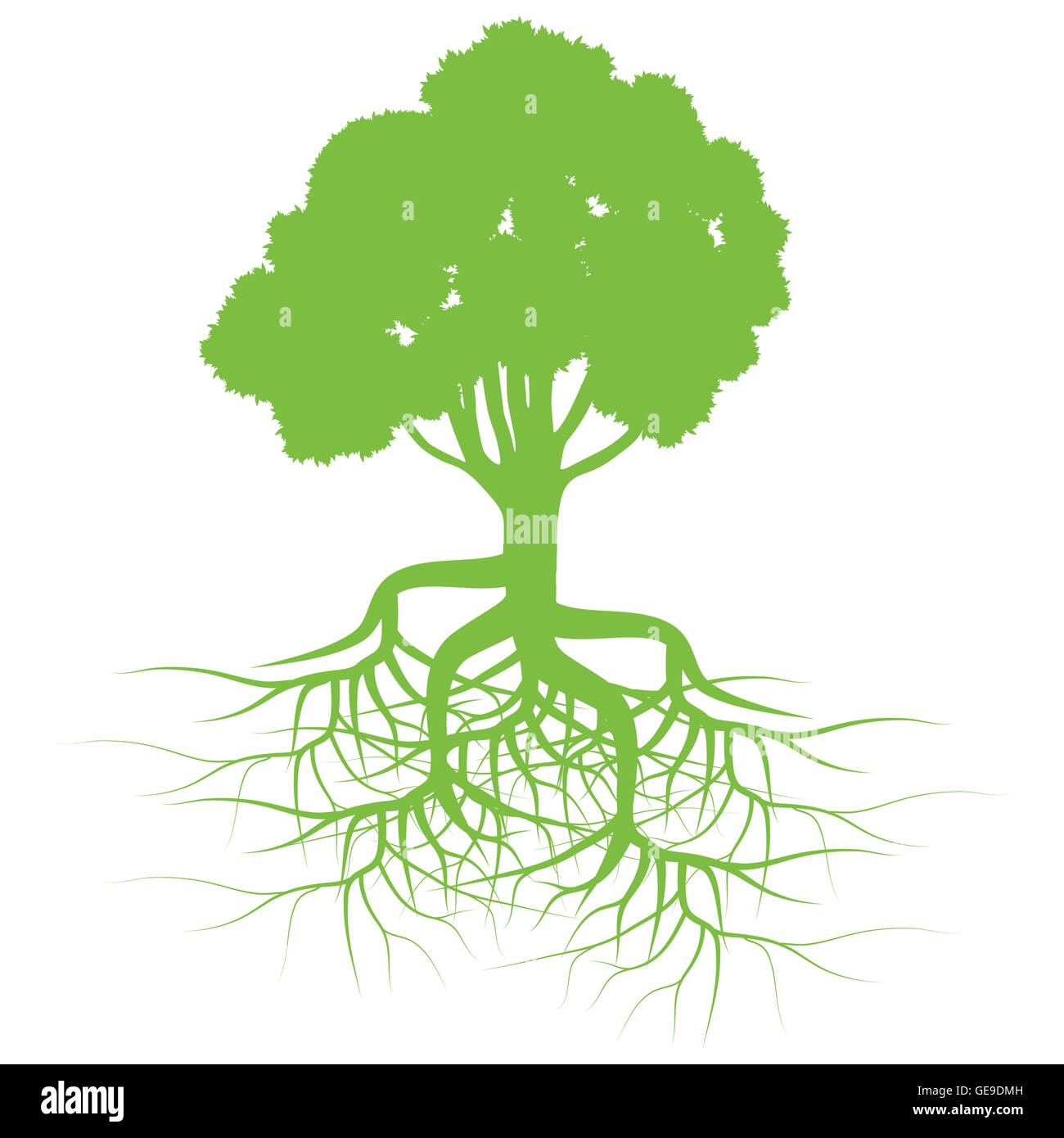 Green tree with roots background vector for poster Stock Vector Image ...