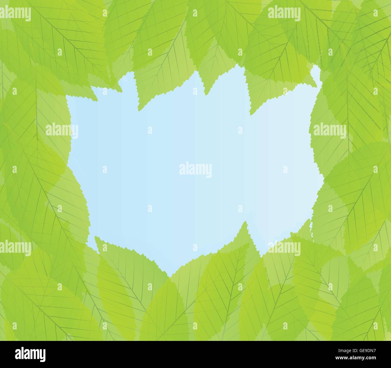 Green leaves background vector template Stock Vector Image & Art - Alamy