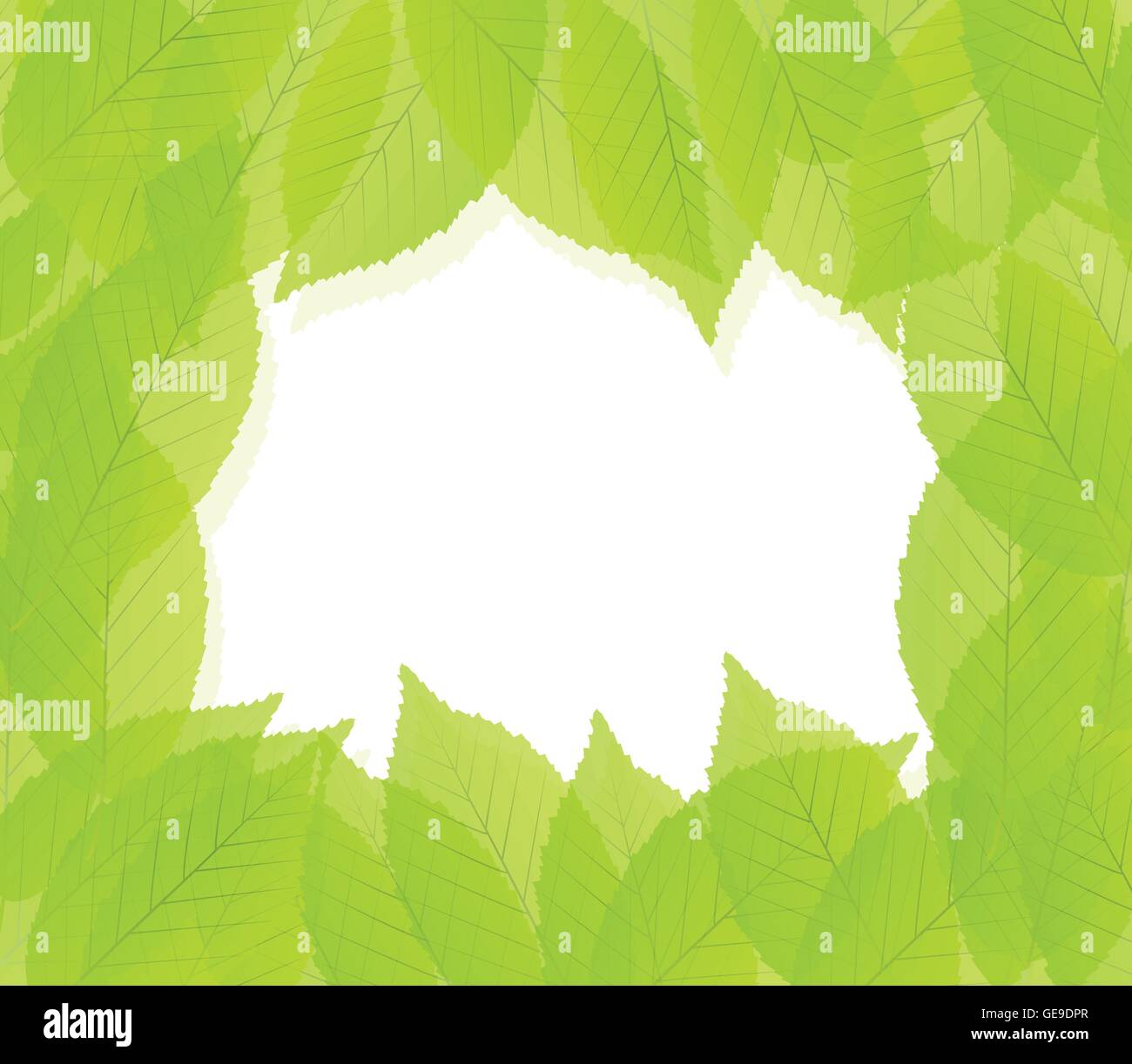 Green leaves background vector template Stock Vector Image & Art - Alamy