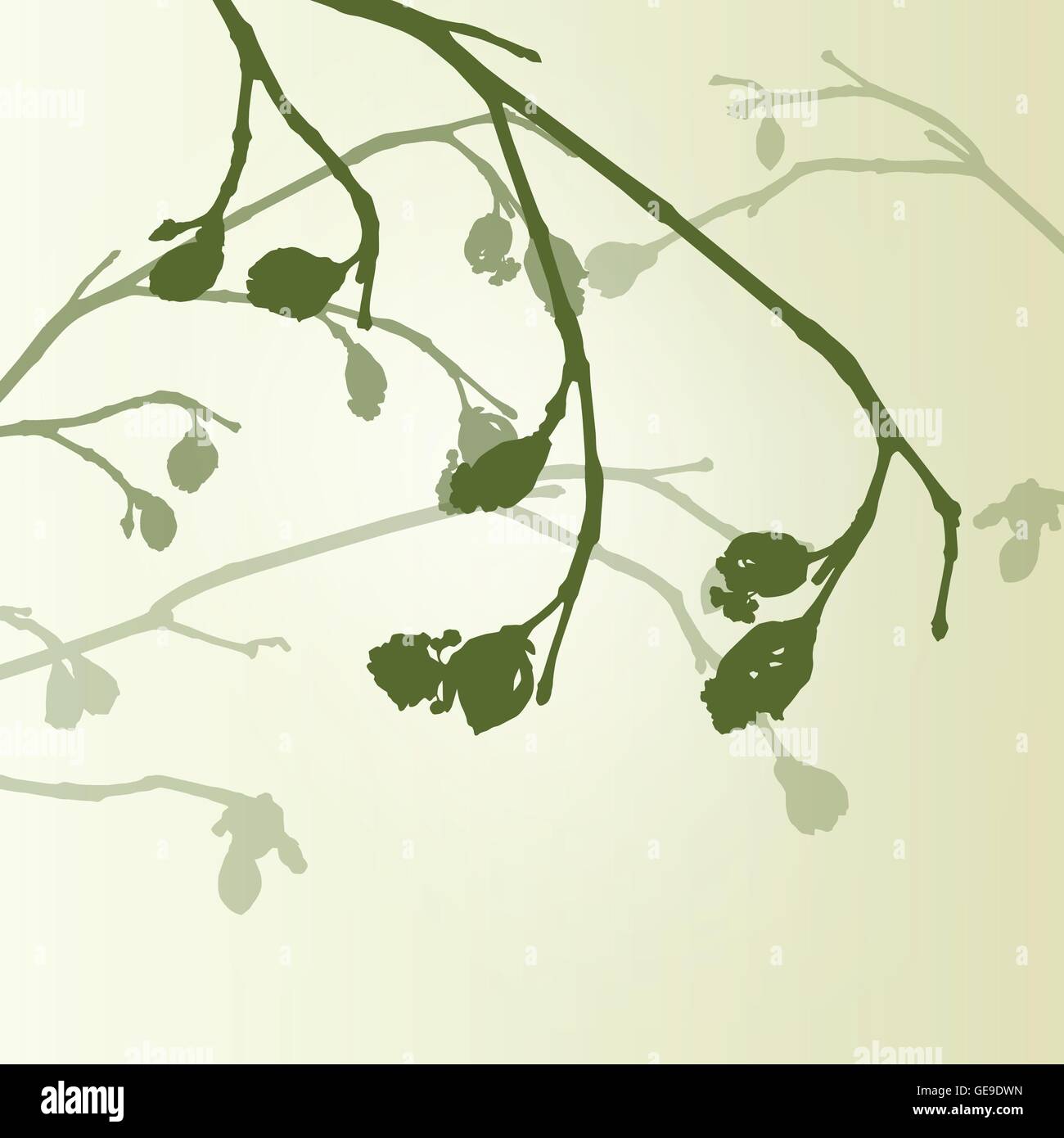 Large and small buds Stock Vector Images - Alamy