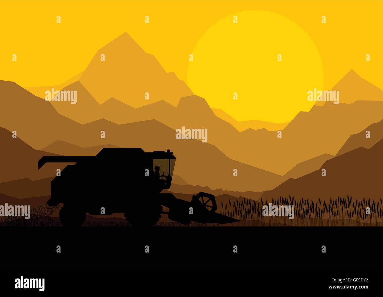 Combine harvesting crop in grain fields background vector illustration Stock Vector Image & Art ...