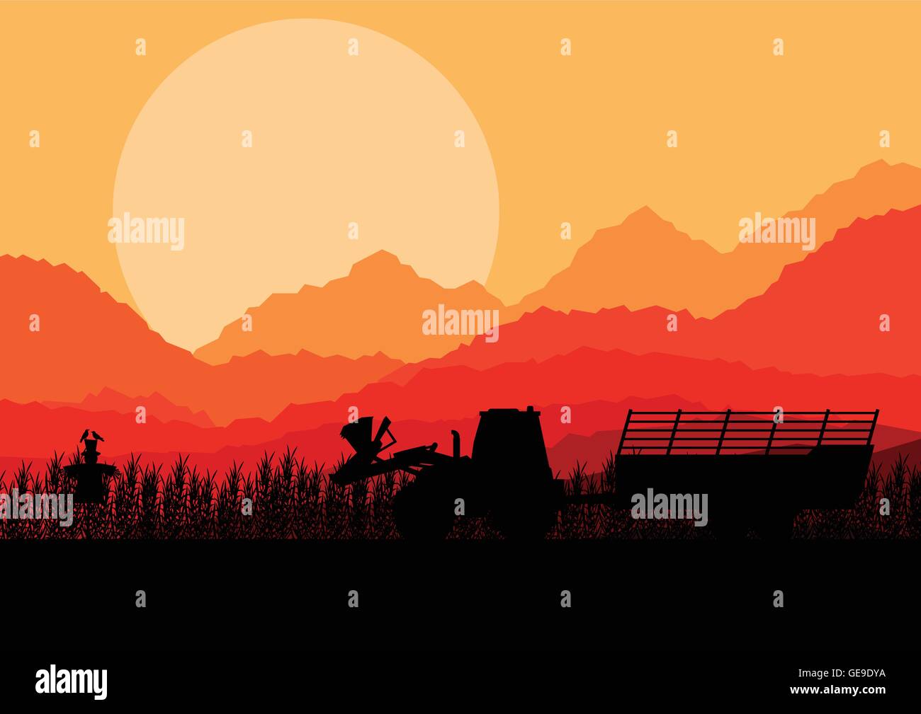 Tractor working in corn grain field background vector illustration ...