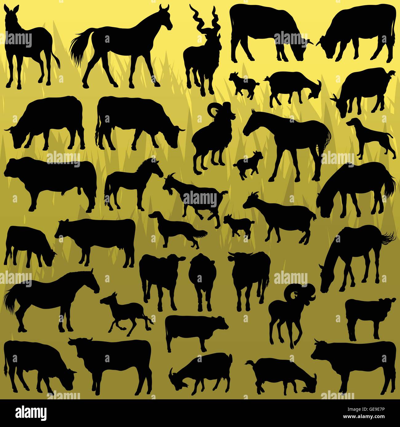 Livestock trade animal Stock Vector Images - Alamy