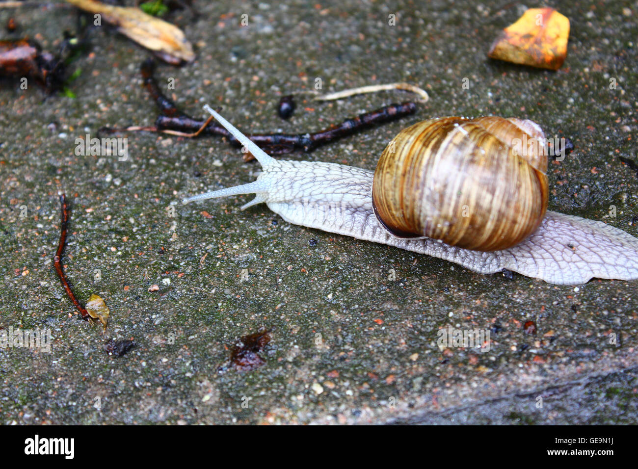 Objects big and small hi-res stock photography and images - Alamy