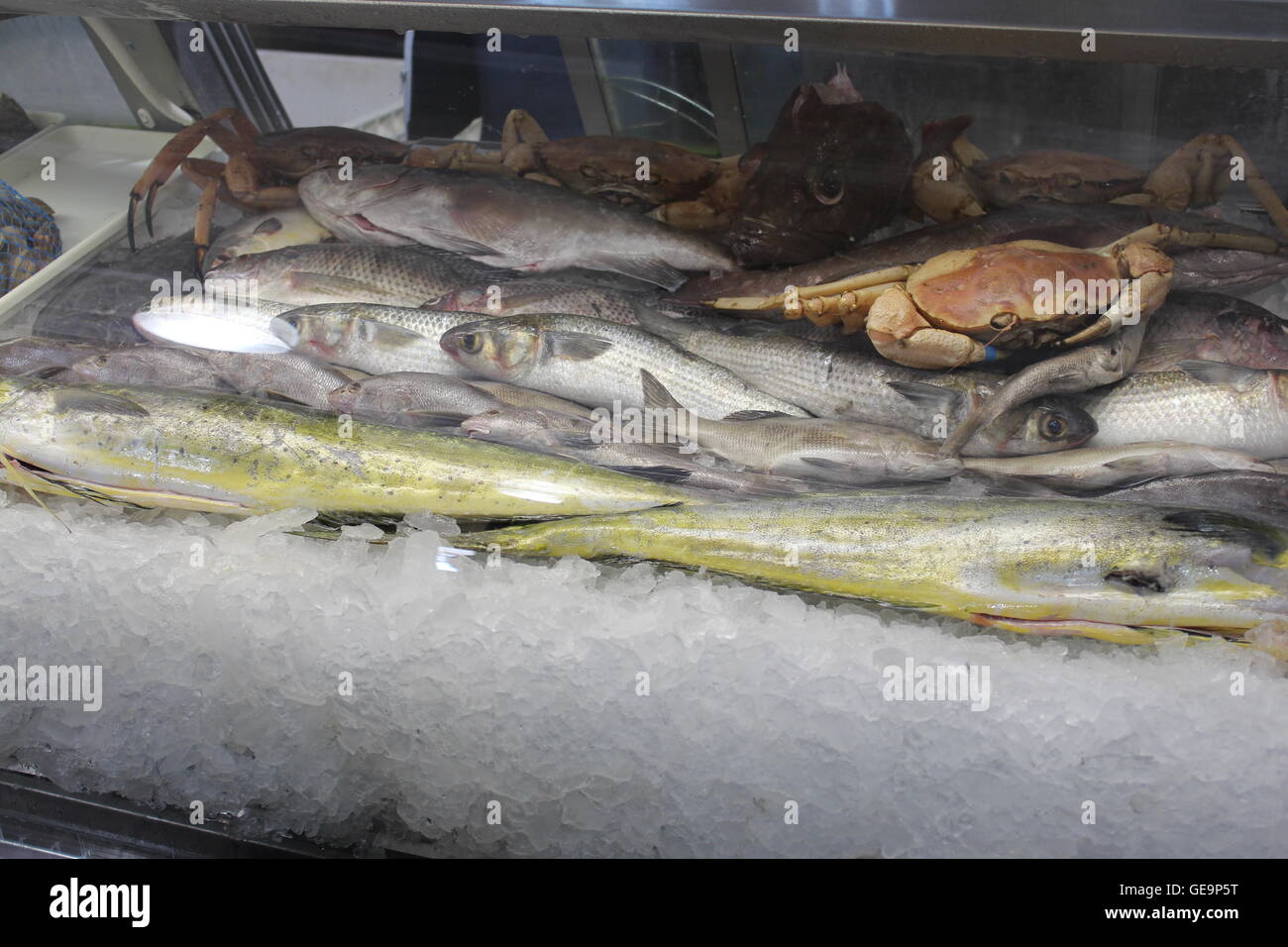 Seafood, Commercial Fishing Stock Photo - Alamy