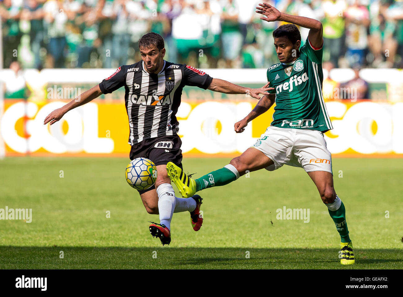 Leandro Donizete during the game between Palmeiras and Atletico Mineiro ...