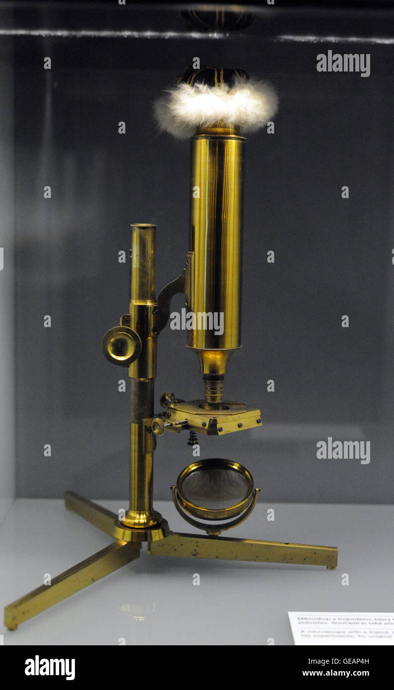 Mendel museum of masaryk university High Resolution Stock Photography ...