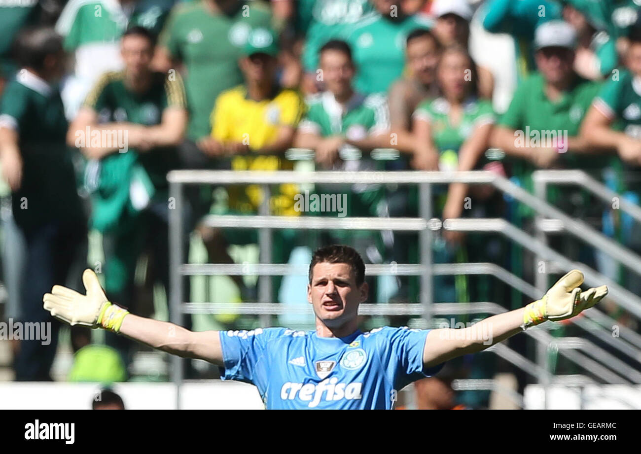 Goalkeeper Vagner, the SE Palmeiras in the match against Atletico ...