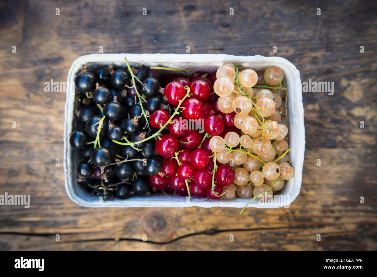 Cardboard box of black, red and white currants Stock Photo - Alamy