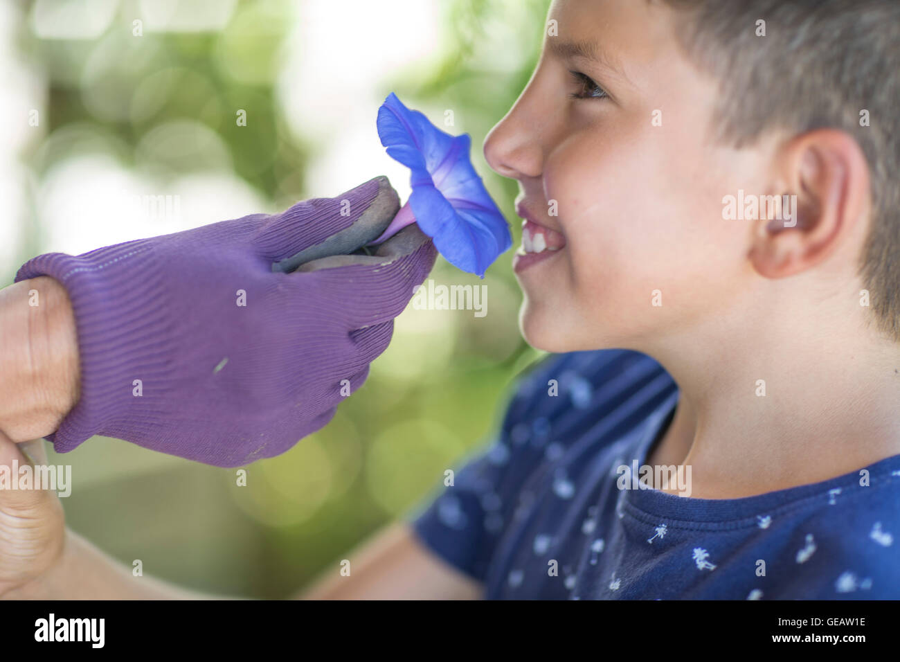 Boy smelling flower hi-res stock photography and images - Alamy