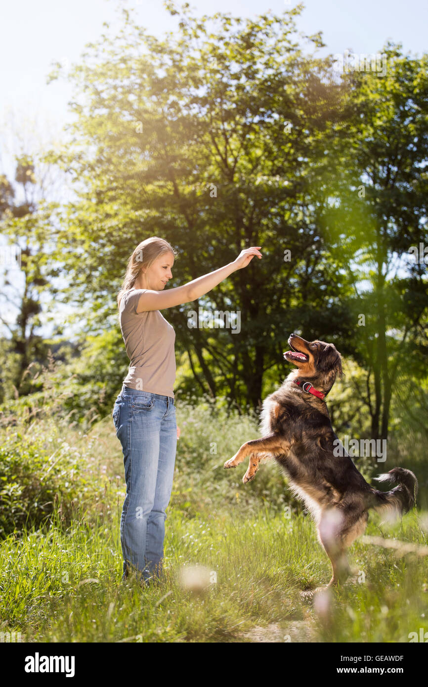 Taming nature hi-res stock photography and images - Alamy