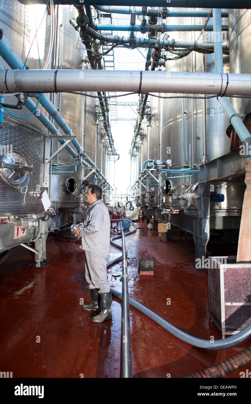 Worker controlling stainless steel tanks for food industry Stock Photo ...