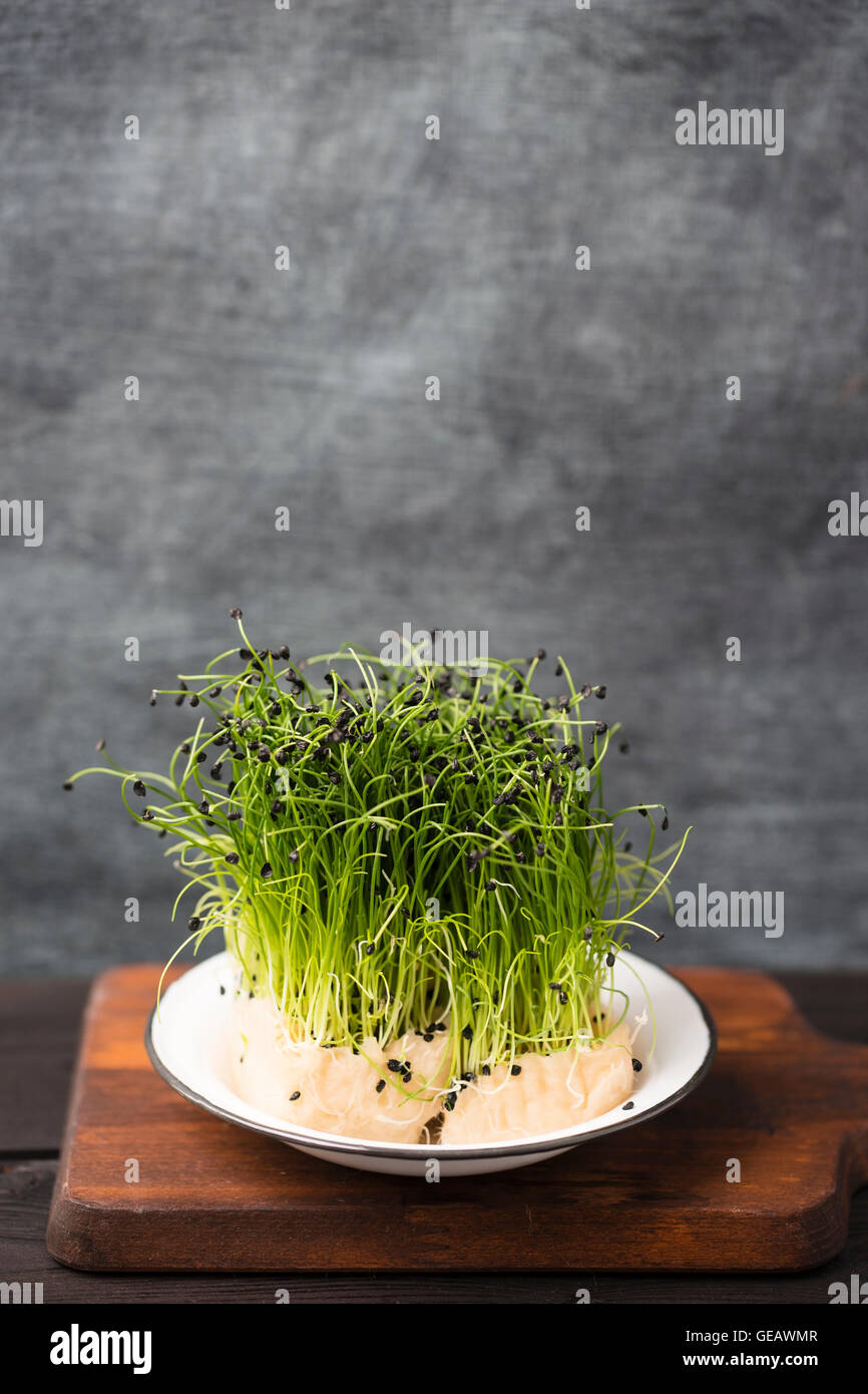 Rock chives, chive sort from east asia Stock Photo - Alamy
