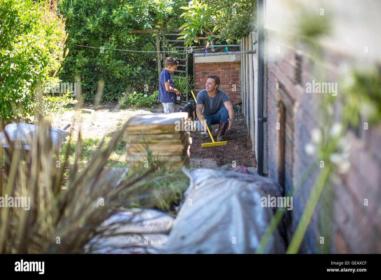 Father and son working together in garden Stock Photo - Alamy